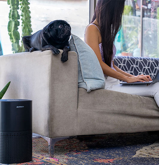 PuroAir Air Purifier | HEPA 14 Air Purifiers | Breathe With Confidence ...