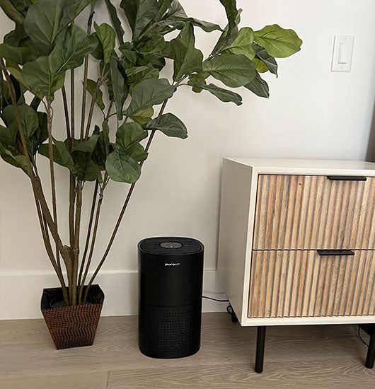 Best HEPA Air Purifier | PuroAir Air Purifier | Cleaner Air in Minutes ...