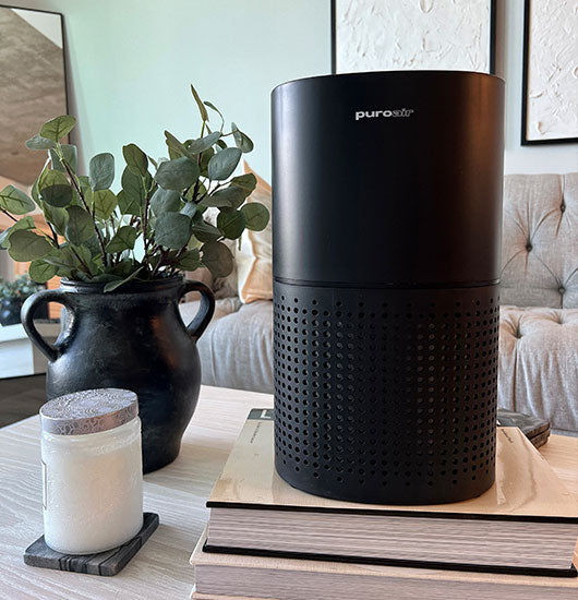 Best HEPA Air Purifier | PuroAir Air Purifier | Cleaner Air in Minutes ...